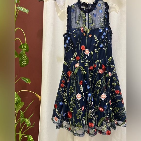 City Triangles | Dresses | City Triangles Dress Lace Floral Embroidered ...